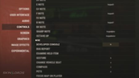 How to Open the Developer Console in Rust - SkinLords