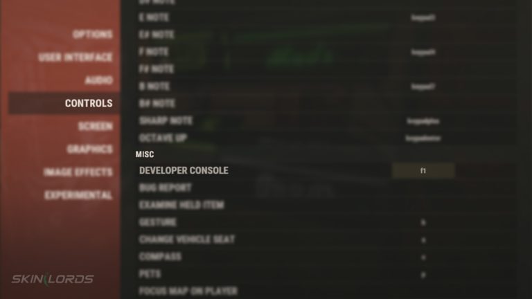 How to Open the Developer Console in Rust - SkinLords