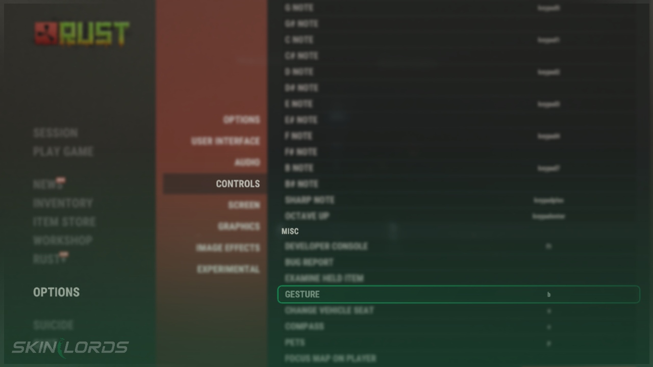 How to Gesture and Emote in Rust - SkinLords