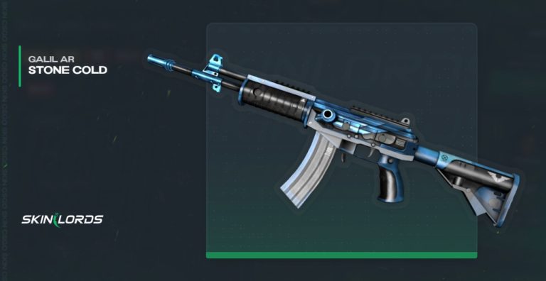 Top 10 Best Galil AR Skins in CS2 - SkinLords