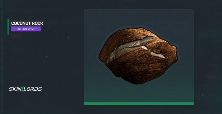 Top 10 Best Rock Skins in Rust - SkinLords