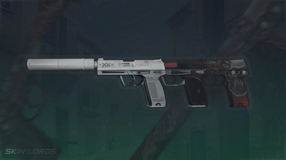 Top 10 Best USP-S Skin in CS2 - SkinLords