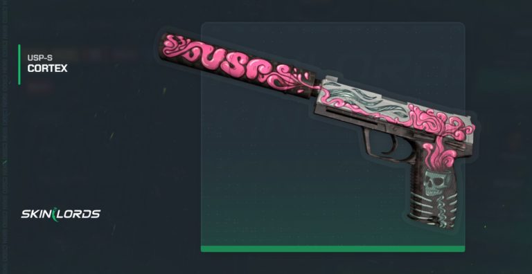 Top 10 Best USP-S Skin in CS2 - SkinLords