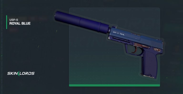 Top 10 Best USP-S Skin in CS2 - SkinLords