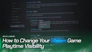 How to Change Your Steam Game Playtime Visibility - SkinLords