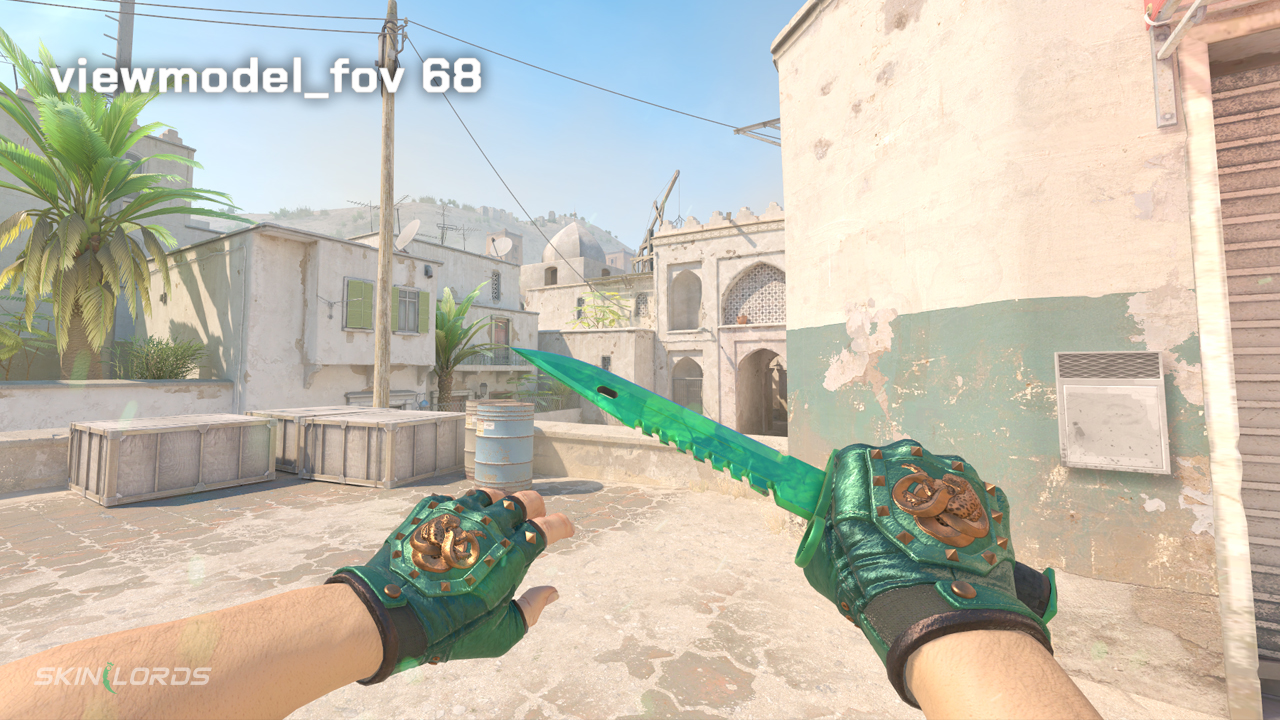 How to Change your CS2 FOV - SkinLords