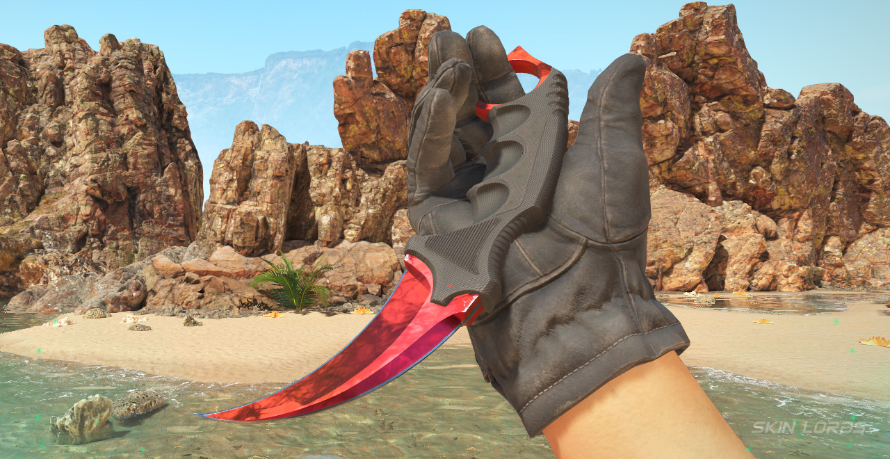 CS2 Inventory Review: donk's CS2 Inventory - SkinLords