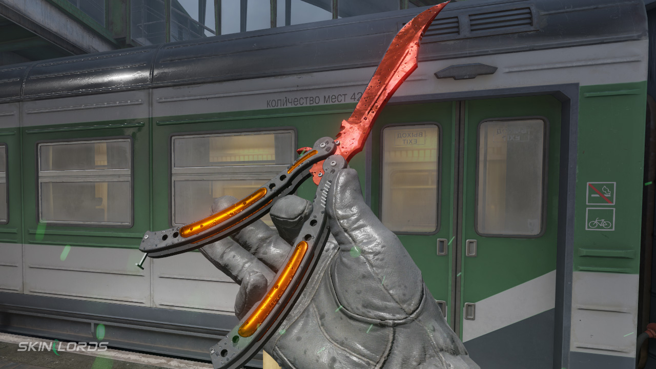 CS2 Inventory Review: fl0m's CS2 Inventory - SkinLords