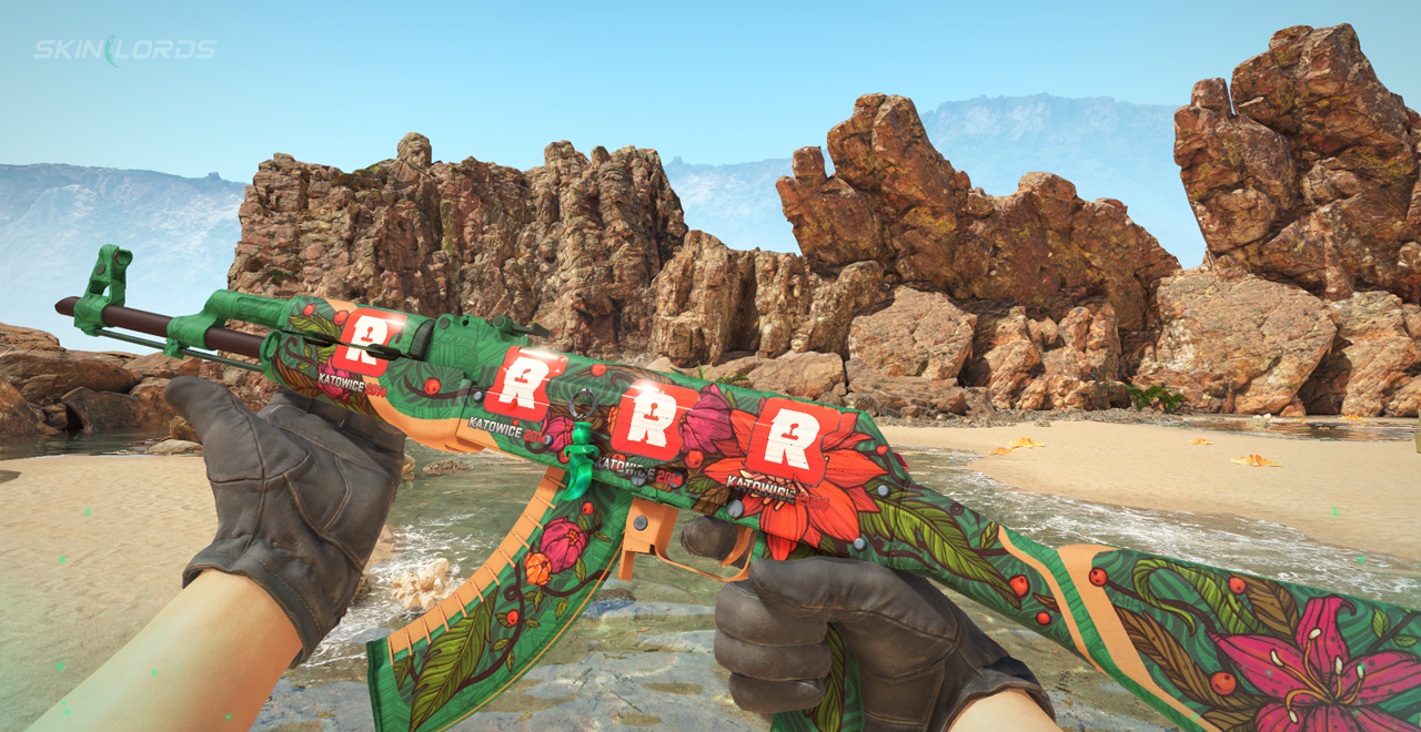 CS2 Inventory Review: donk's CS2 Inventory - SkinLords