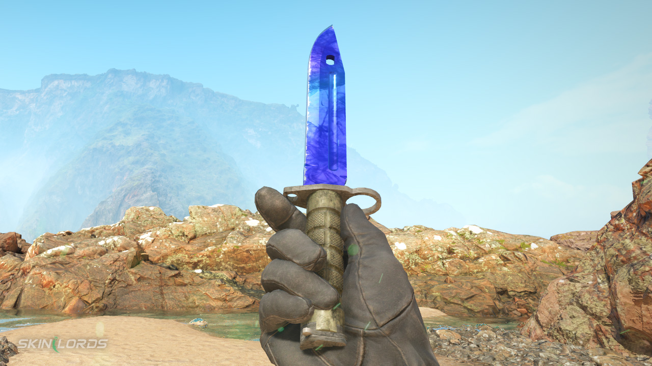 CS2 Inventory Review: Anomaly's CS2 Inventory - SkinLords