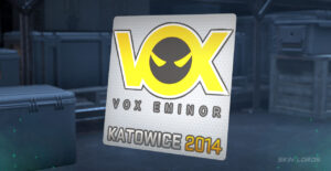 The Best Katowice 2014 CS2 Stickers - SkinLords