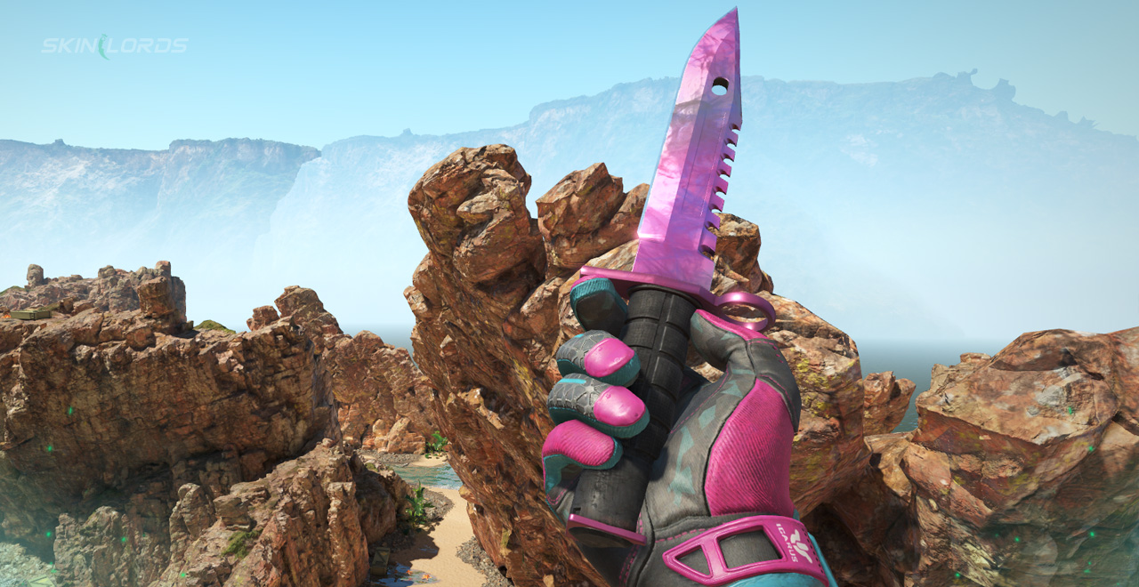 Best Pink CS2 Loadout - SkinLords