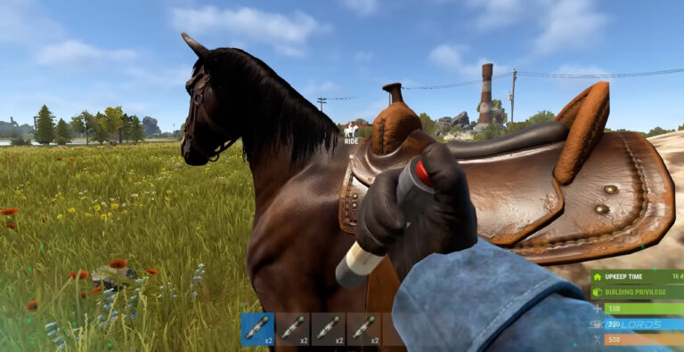 Rust Horse Healing Guide - SkinLords