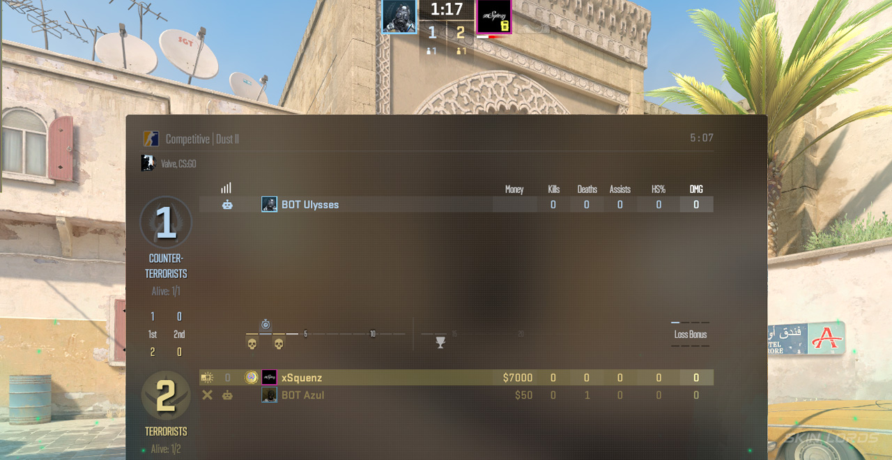 How to Spawn Bots in CS2 - SkinLords