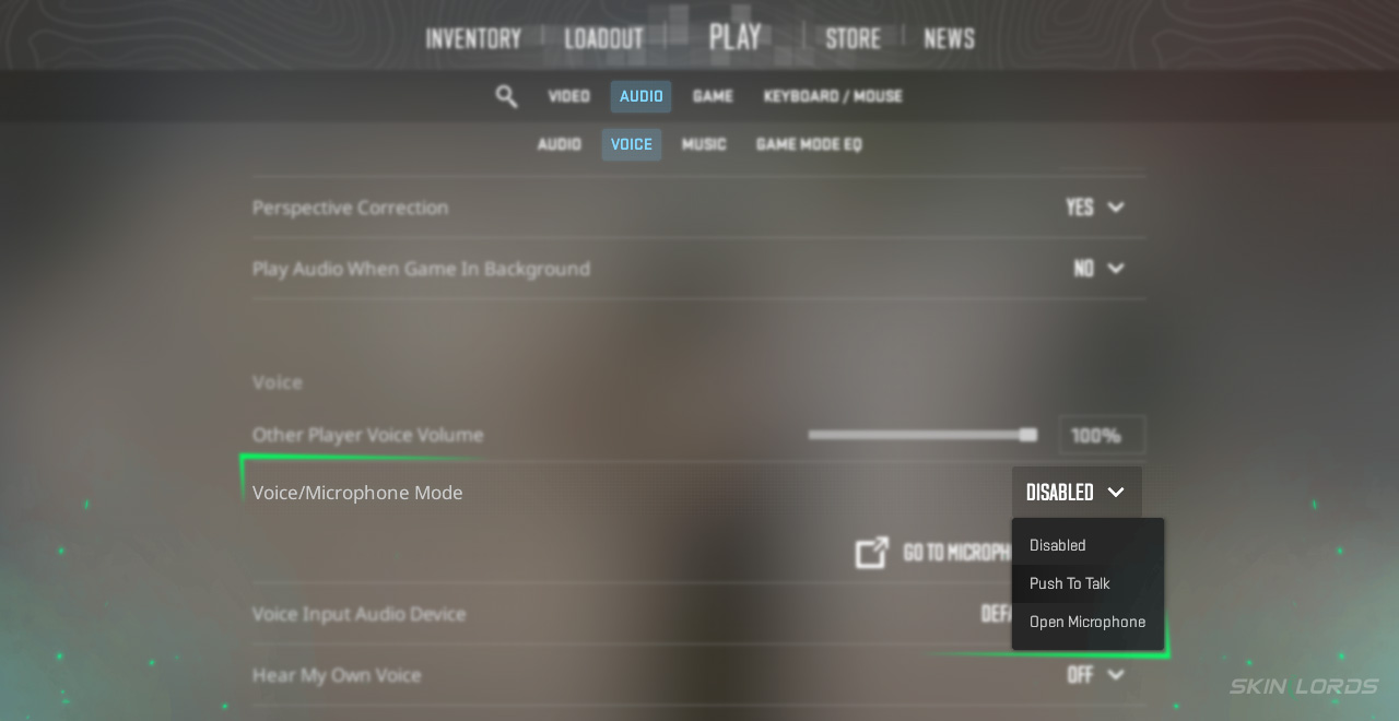 How To Enable Push to Talk in CS2 - SkinLords
